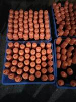 China C EXV33 NPG51 / GPR35 Canon Copier Toner 14600 P for Canon IR2520 for sale