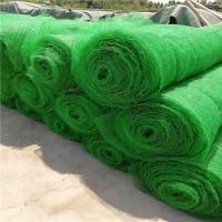 China Composite Protecting Layer 3D Geomat for Drainage and Plant Protection in Villa HDPE for sale