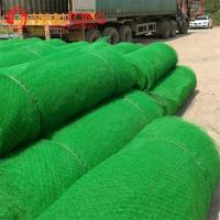 China Composite Protecting Layer 3D Geomat for Drainage and Plant Protection in Villa HDPE for sale