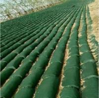 China Polypropylene and Polyester Tension Geobag Sandbag 100g-600g/m2 for sale