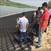 China Driveway Geocell HDPE Geocell and Slope Protection for Road Reinforce 50mm Height Lower for sale