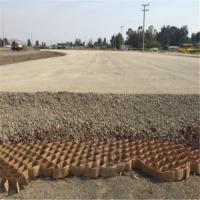 China Driveway Geocell HDPE Geocell and Slope Protection for Road Reinforce 50mm Height Lower for sale
