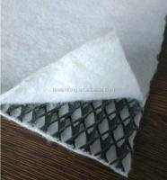 China 30m-100m Roll Length High Tensile HDPE 3D Composite Drainage Net for Road Protection for sale