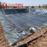 China Modern Design Style 1mm HDPE Geomembrane Liner Customized for Tunnel Lining Solutions for sale