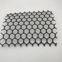 China 5mm HDPE Geonet for Road Reinforcement As Per Your Requirements for sale