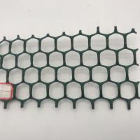China 5mm HDPE Geonet for Road Reinforcement As Per Your Requirements for sale