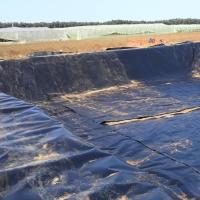 China Long-Lasting HDPE Geomembrane for Asian Design Style Pond Lining in Other Regions for sale