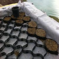 China Improve Retaining Wall Stability with Height 100mm Gravel Stabilizer Geocell Solution for sale