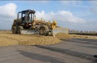China Philippines Fiberglass Geogrid Composite Geotextile Pavement Geogrid for Garage Shed for sale