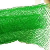 China HDPE Plastic Geomat Green 3D Design for Slope Protection Applications for sale