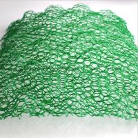 China Contemporary Design HDPE Plastic Mesh Embankment Geomat for Slope Erosion Control for sale