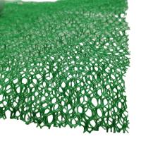 China Contemporary Design HDPE Plastic Mesh Embankment Geomat for Slope Erosion Control for sale