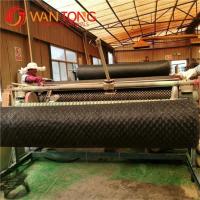 China Contemporary Design HDPE Plastic Mesh Embankment Geomat for Slope Erosion Control for sale