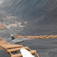 China LDPE LLDPE HDPE Plastic Fish Ponds Waterproofing Membrane 0.5mm HDPE Geomembrane Sheet m2 for sale