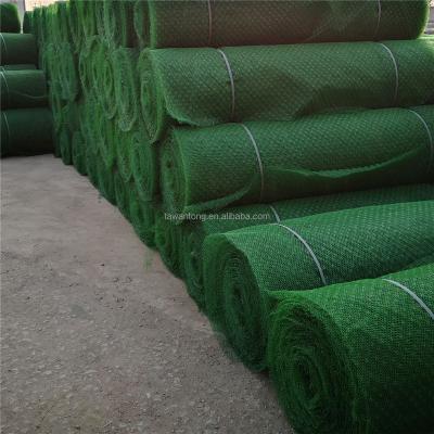 China Customized Erosion Control 3D Geomat for Grass and Slope Protection Length Normal 50m for sale