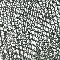 China CE/ISO9001/ISO14001 Certifications Green Plastic Geonet 3D Geomat for Erosion Control for sale