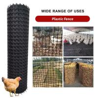 China Roadbed Reinforcement PP Plastic Biaxial Geogrid for Breeding Industry and Chickens for sale