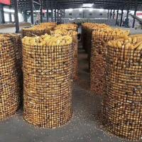 China Woven Polyester Geogrid for Roadbed and Slope Protection 0.2mm-4mm Thickness ISO Standard for sale