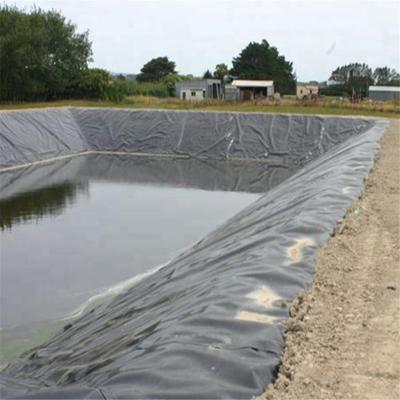 China 0.2mm HDPE Geomembrane Waterproof Tarpaulin Liners for Biofloc Fish Farming Ponds for sale