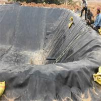 China 0.2mm HDPE Geomembrane Waterproof Tarpaulin Liners for Biofloc Fish Farming Ponds for sale