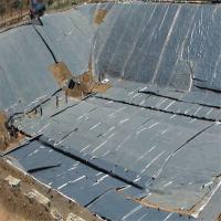 China 0.2mm HDPE Geomembrane Waterproof Tarpaulin Liners for Biofloc Fish Farming Ponds for sale