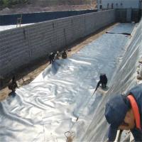 China 0.2mm HDPE Geomembrane Waterproof Tarpaulin Liners for Biofloc Fish Farming Ponds for sale