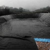 China 0.2mm HDPE Geomembrane Waterproof Tarpaulin Liners for Biofloc Fish Farming Ponds for sale