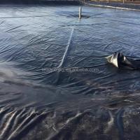 China Smooth Geomembrane HDPE Dam Fish Tank Agricultural Pond Liner Geomembranes 1mm 2mm for sale