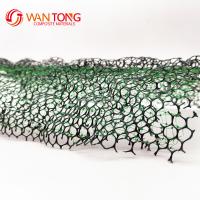 China Landscape Plastic Steel Mesh Grass Reinforcement 3D Mat Geomat for Erosion Control for sale