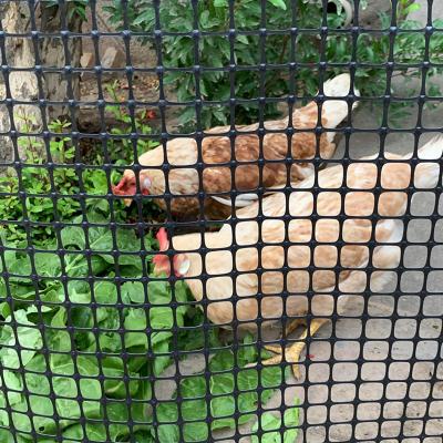 China CE/ISO9001 Certified Chicken and Goose Breeding Fence with Reinforced Biaxial Geogrid for sale
