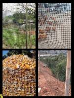 China CE/ISO9001 Certified Chicken and Goose Breeding Fence with Reinforced Biaxial Geogrid for sale