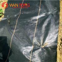 China Polyester UV Treated Woven PP Geo Fabric Geotextile for Canada Environmental Projects for sale