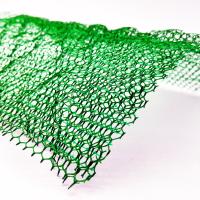 China Landscape Plastic Steel Mesh Grass Reinforcement 3D Mat Geomat for Erosion Control for sale