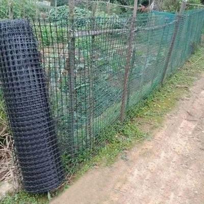 China Recycled Plastic Farm Fence Posts Geogrid for Road Construction MESH SIZE 12.7*12.7mm for sale