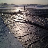 China Contemporary Design Style India Manufactured HDPE Geomembrane 1mm for Fish Pond Liner for sale