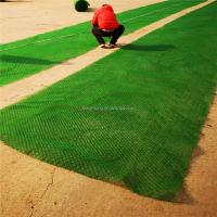 China 10mm Thickness EM2 Turf Reinforcement/Grass Protection Geomat for Contemporary Design for sale