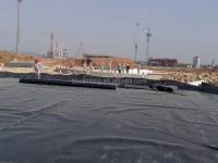 China Geomembranes for Fish Tank 2mm Black Waterproof HDPE Plastic Onsite Installation for sale