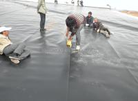 China Geomembranes for Fish Tank 2mm Black Waterproof HDPE Plastic Onsite Installation for sale