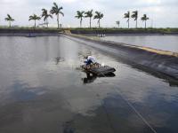 China Geomembranes for Fish Tank 2mm Black Waterproof HDPE Plastic Onsite Installation for sale