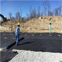 China Polypropylene Nonwoven Geotextile for Road Construction in Gray Color for sale