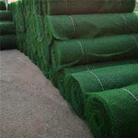 China CE/ISO9001/ISO14001 Certified Geotechnical Mat and Erosion Control 3D Drainage Geomat for sale