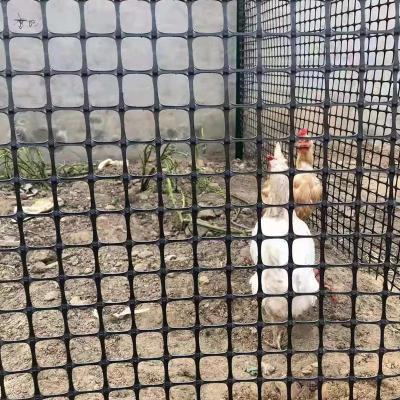 China Chinese Design Style Biaxial Geogrid Fence for Chicken Roadbed Roadbed Load Capacity for sale