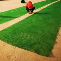 China 7.6-10.2mm Thickness Composite Geonet 3 Layers HDPE Geomat for Soil Reinforcement for sale