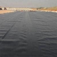 China HDPE Impermeable Geomembrane Smooth Waterproofing Liner for HDPE Fish Pond Impermeable for sale