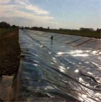 China Virgin/Recycled HDPE Geomembrane for Pond Tank Dam Lining Swim Pool Fish Farm Liner for sale