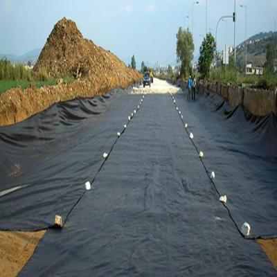 China Polyester PET PP Non Woven Geotextile for Agriculture and Erosion Protection Online Technical Support for sale