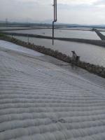 China Polyester PET PP Non Woven Geotextile for Agriculture and Erosion Protection Online Technical Support for sale