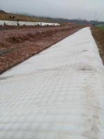 China Polyester PET PP Non Woven Geotextile for Agriculture and Erosion Protection Online Technical Support for sale
