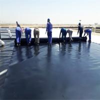 China 2m-8m Width Geomembrane for Mining Tailing Heap Leach Pads GB/ASTM GRI-GM13 Standard for sale