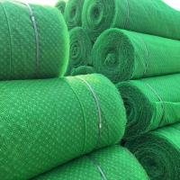 China Competitive HDPE 3D Geomat /Erosion Control Mat Em2 Em3 Em4 Em5 for Chinese Market for sale